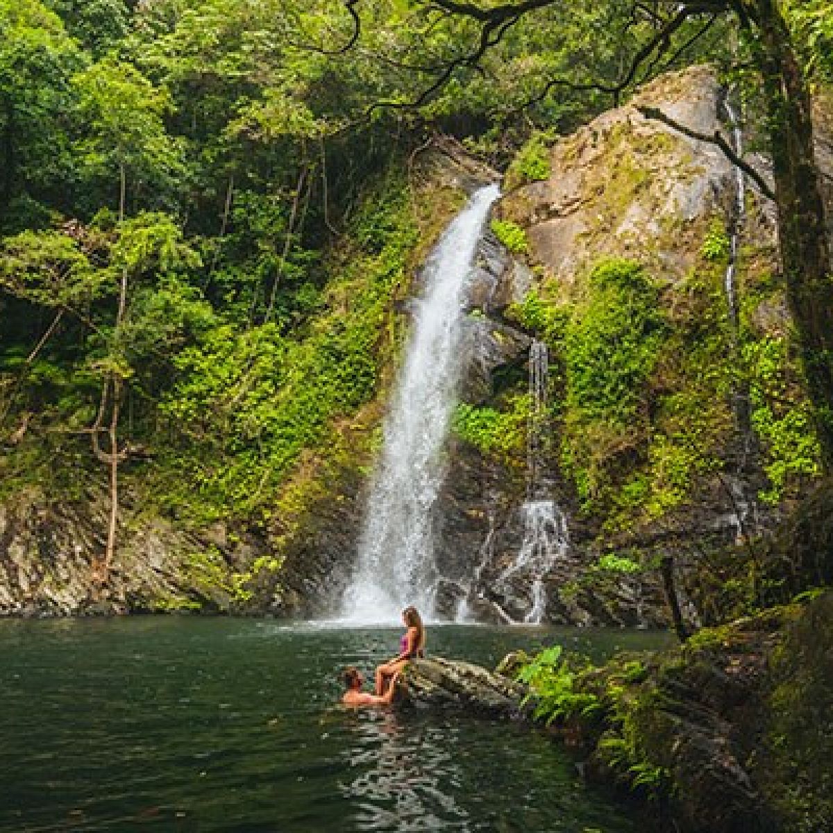 Daintree Village | Visit Port Douglas Daintree
