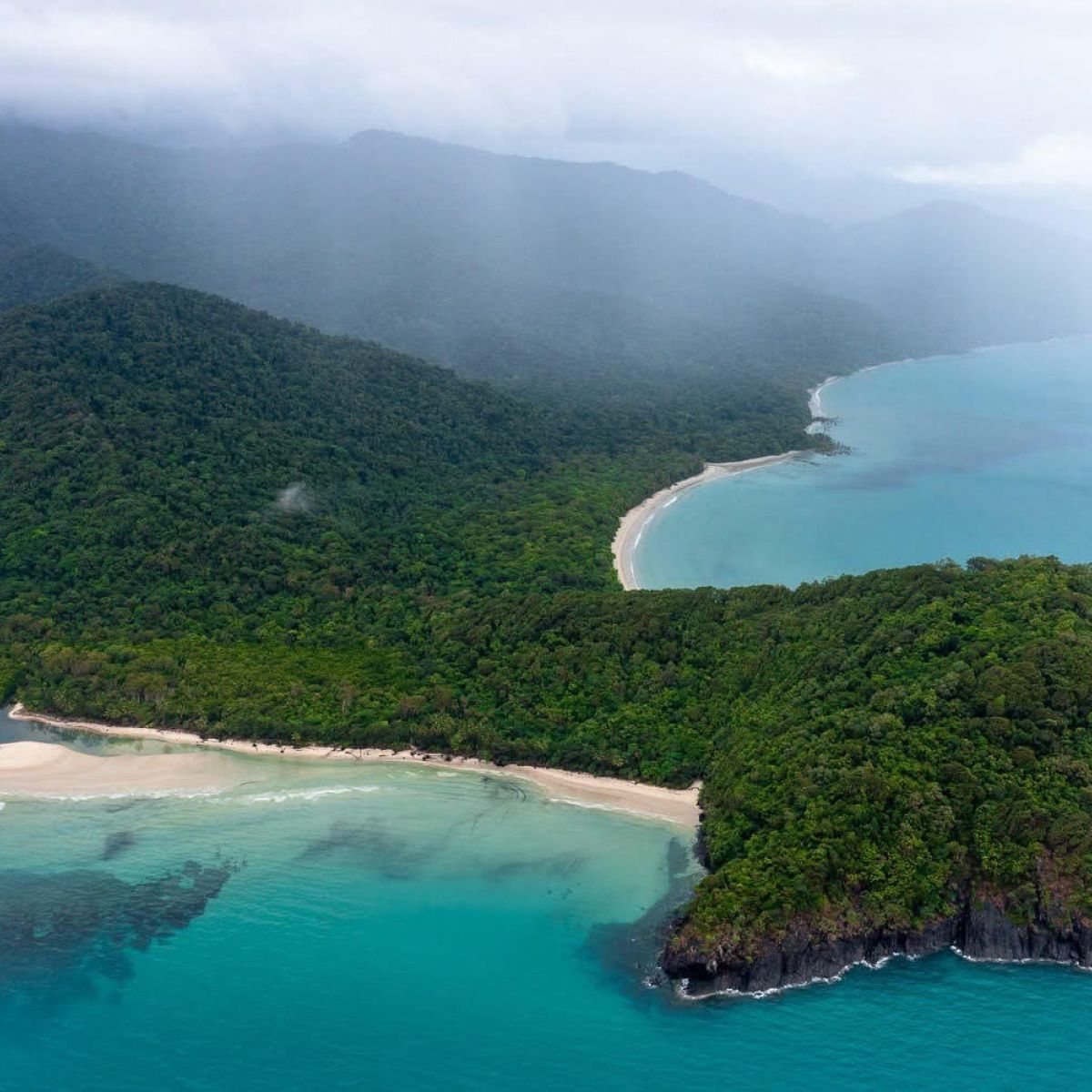 Daintree Rainforest | Visit Port Douglas Daintree
