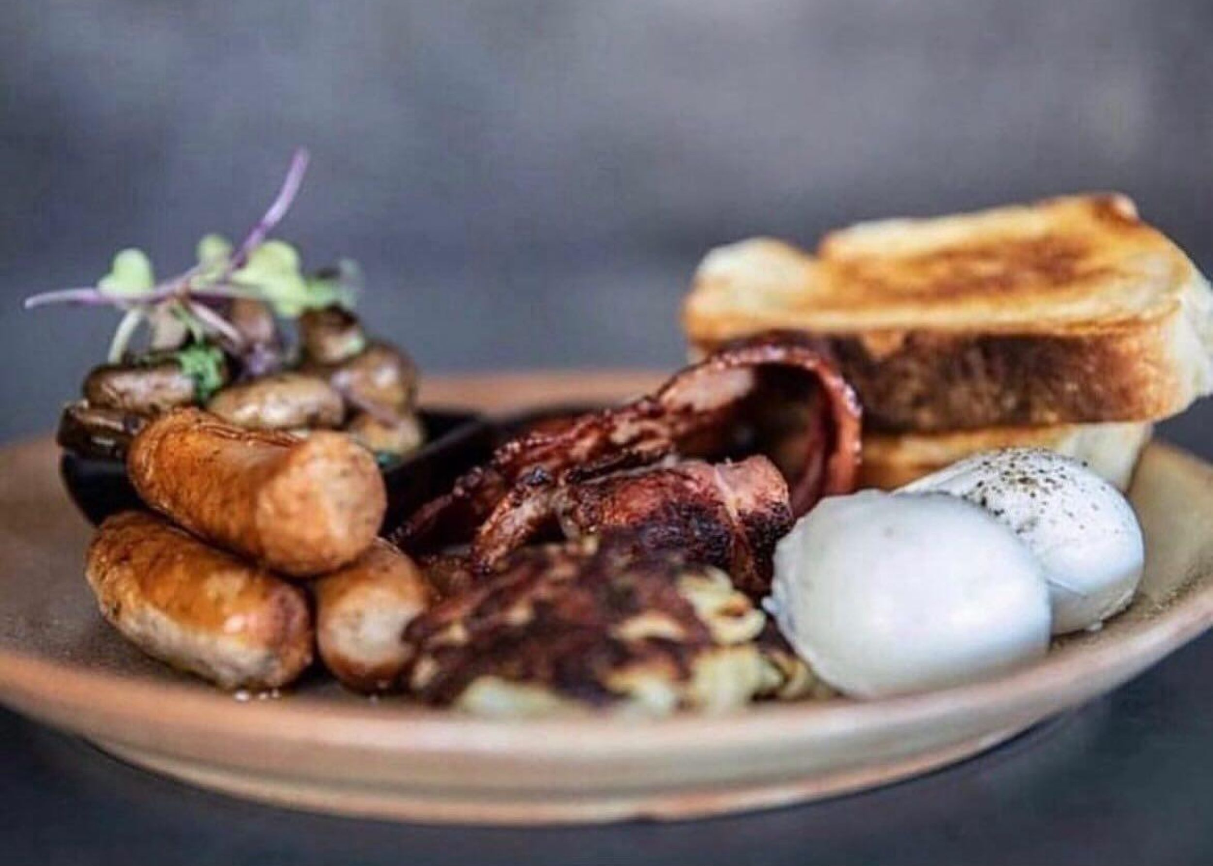 SR Coaches | Visit Port Douglas Daintree